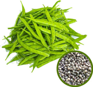 A2Z Garden Cluster Beans Seeds Seed Price in India - Buy A2Z Garden ...