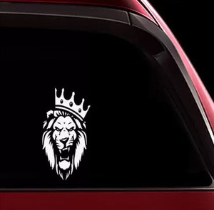 Aleena Care Sticker & Decal for Car & Bike Price in India - Buy Aleena ...