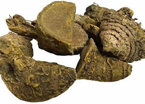 Nutrixia food AMBA HALDI AAMBA AAMA HALDI KASTURI HALDI CURCUMA AMADA ...