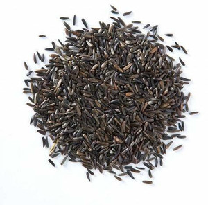 Nutrixia food Niger Seed,Ramtil,Khurasani,Bird Food Seed Price in India ...