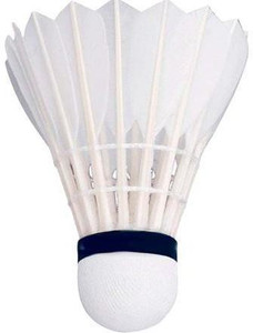 TopToys Badminton Shuttlecock, Set of 10 Pieces Feather Shuttle - White ...