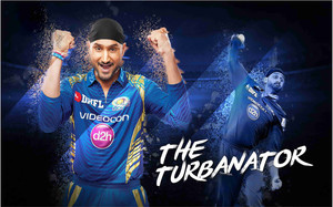 IPL Cricket Flex Poster for Room B98 Paper Print - Abstract, Decorative ...