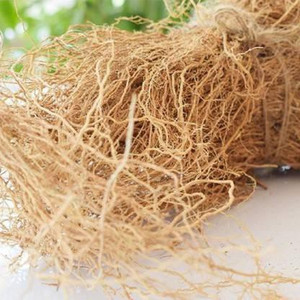 TAMRANSH KHAS ROOT- KHUS JAD - USHIRA - VETIVER ROOTS - VETIVERIA ...