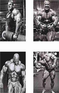 Body Builders Motivational Combo Poster Set of 4 Posters With Gloss ...