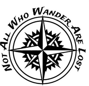 Aleena Care Sticker & Decal for Car & Bike Price in India - Buy Aleena ...