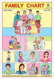 FAMILY CHART [Wall Chart] BOOK DEPOT (MAP HOUSE) Paper Print ...