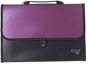 Flipkart.com | JMD Plastic GOLD 13 Pocket Expanding File Folder with ...