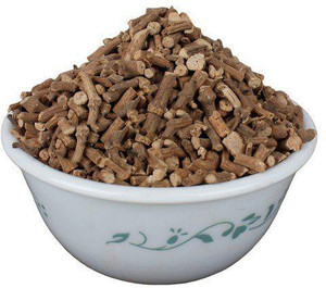 NaturePlanet PIPLAMOOL - GANTHODA - PIPAL MUL - PIPLA MOOL - PIPALMOOL ...