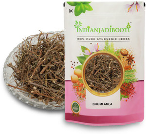 IndianJadiBooti Bhumi Amla - Bhumi Aamla - Bhoomi Awla - Phyllanthus ...