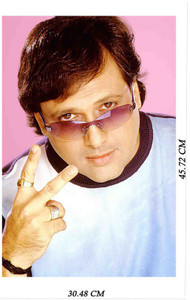Idol Govinda Sticker Poster|Bollywood Movie Actor|Decorative Wall ...