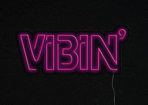 Neon Sign India Vibin' Neon Sign with Brightness Controller and Adaptor ...
