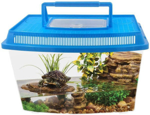 Jainsons Pet Products Mini Turtle house/Turtle tank Turtle House Price ...