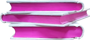 Bright hub CRULL REGISTER 4QR Ruled Register 4Q BEST QULATY 0-Part ...