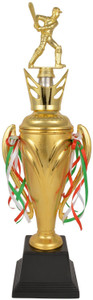 Trophy Junction Metallic Fiber Cricket Trophy, Gold (24 Inch) Trophy ...