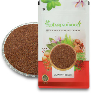 IndianJadiBooti Pure Lajwanti Seeds - Lajvanti Beej - Chui Mui - pudica ...