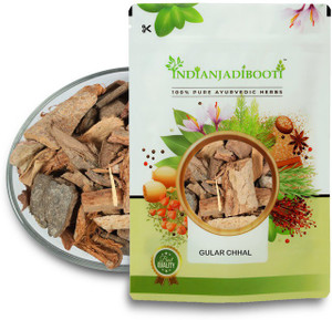 IndianJadiBooti Gular Bark - Gular Chhal - Gular Chaal - Gular Chal ...