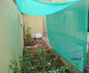 ZIMBLE Green Shade NET - (2mx 25m) 50%/ Sun Light blocking ...