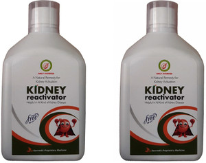 ONLY AYURVED Kidney Reactivator Helps In Kidney Disease (500ml, Pack of ...