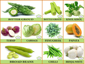 FLARE SEEDS Vegetable Seeds 10 Varieties Summer & Winter Vegetables ...