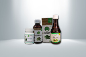 vaidyamrit Immunity Booster Kit (Withenia Capsule + Carica Syrup ...