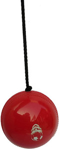 Spocco Cricket Practice Synthetic Ball with Black Rope, red, Full Size ...