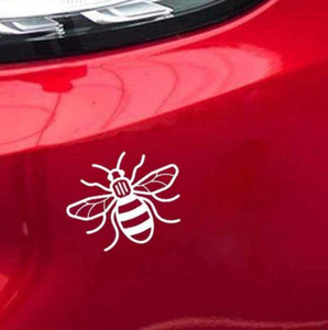Aleena Care Sticker & Decal for Car & Bike Price in India - Buy Aleena ...