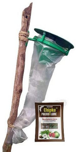 Chipku Pheromone Trap Funnel with Spodoptera Litura Lure for Catch ...