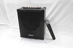 stranger C29 WITH CORDLESS MIC Keyboard Amplifier Price in India - Buy ...