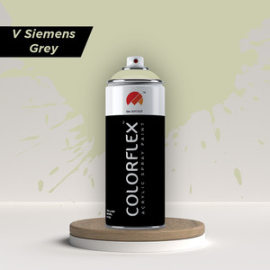 colorflex Grey Spray Paint 400 ml Price in India - Buy colorflex Grey ...