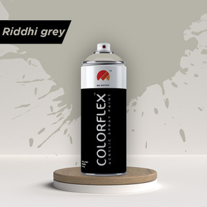 colorflex Grey Spray Paint 400 ml Price in India - Buy colorflex Grey ...