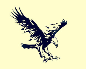 Aleena Care Sticker & Decal for Car & Bike Price in India - Buy Aleena ...