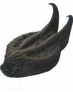 DEVAMA THE DIVINE Bat Head Roots Devil - - Wishing Seed for Good Health ...