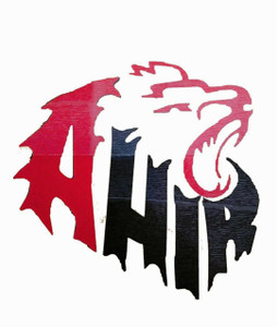 TO-HIT Sticker & Decal for Car & Bike Price in India - Buy TO-HIT ...