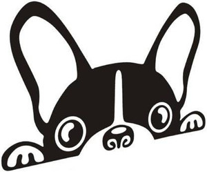 BikerZZZcluB Sticker & Decal for Car & Bike Price in India - Buy ...