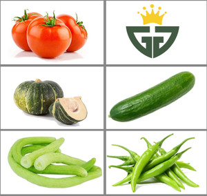 GRO GOLDEN SEEDS Pumpkin (Kadu , Kaddu, Kola), Long melon (Kakdi ...
