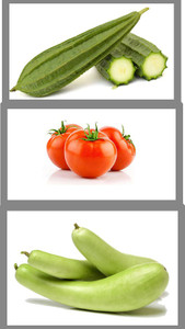 GRO GOLDEN SEEDS ridge gourd seeds, tomato seeds, bottle gourd Seed ...