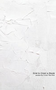 How to Draw a Blank: Buy How to Draw a Blank by Van Son Collin at Low ...
