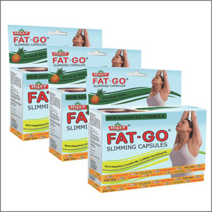 JOLLY FAT GO CAPSULE Price in India - Buy JOLLY FAT GO CAPSULE online ...