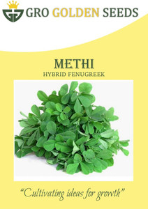 GRO GOLDEN SEEDS kasuri methi seeds, fenugreek seed Seed Price in India ...