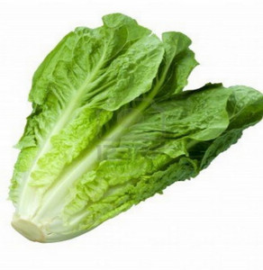 GROUNDOXY LETTUCE (SALAD PATTA) L68 SEED GOOD HYBRID SEED FOR YOUR HOME ...