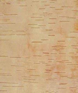 TREE LINIEN Natural Bhoj Patra for Yantra and Mantra Writing Pack of 7 ...