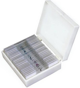 Comet Slide Box of 25 Prepared Slides Microscope Slide Box Price in ...