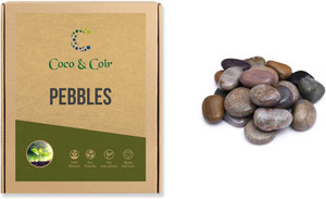COCO & COIR Asymmetrical Pebbles Decorative Stones Gravels for Aquarium ...