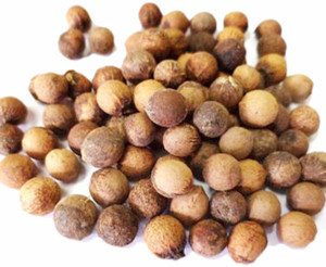 Ovule White Sandal(50 Seeds) Indian Sandalwood,Chandan Tree Seeds Seed ...