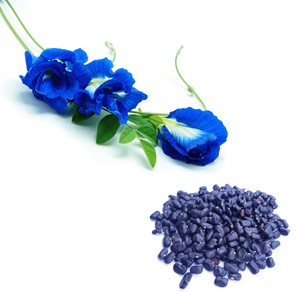 Flipkart SmartBuy Butterfly Pea Blue, Aprajita Seed Price in India ...