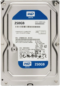 WD Sata Works in CCTV DVR and Desktop PC 250 GB Desktop Silver SATA ...