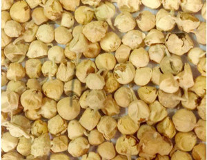 Panir paneer phol, paneer dodi, paneer doda Seed Price in India - Buy ...