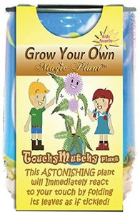 WILLVINE Touch Me Not Plant Seeds - Mimosa Pudica Seed Price in India ...