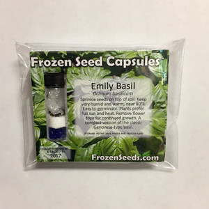Biosnyg Emily Basil (Ocimum basilicum) Rare Heirloom Culinary Herb 500 ...