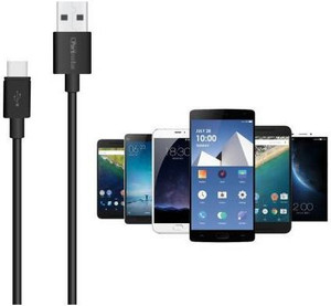 Portronics USB Type C Cable 0.25 m por 1001 - Portronics : Flipkart.com